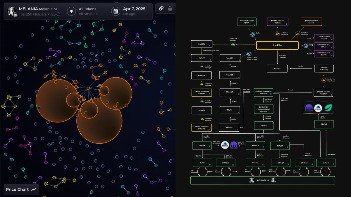Get Started with Bubblemaps: Token Connections and Red Flags